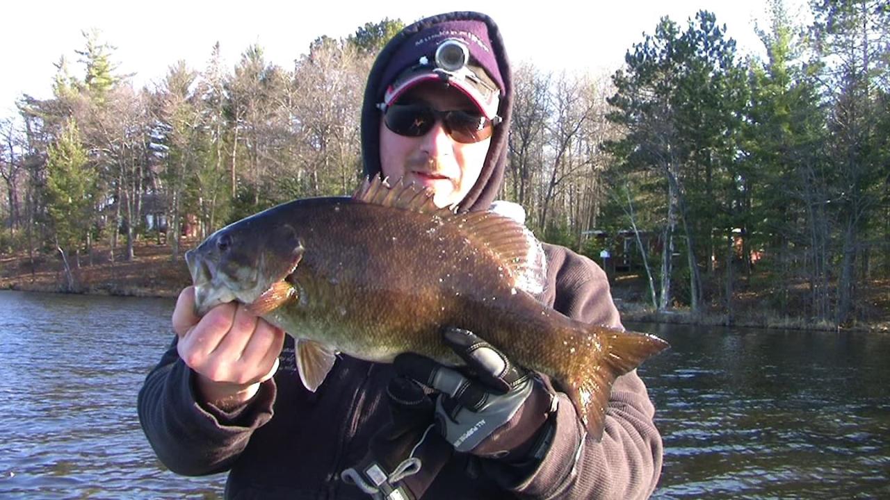 Untitled | BassFIRST