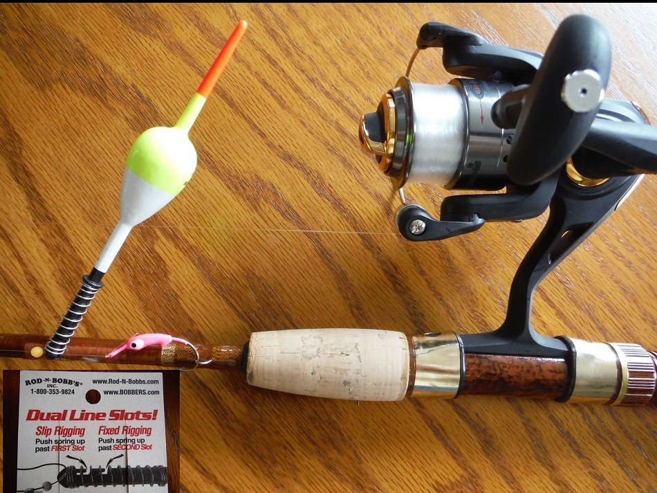 Untitled | BassFIRST