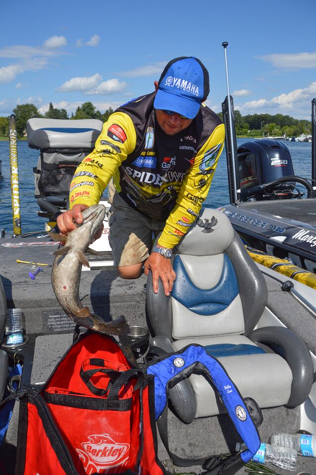 Bobby Lane solid in 2015 | BassFIRST