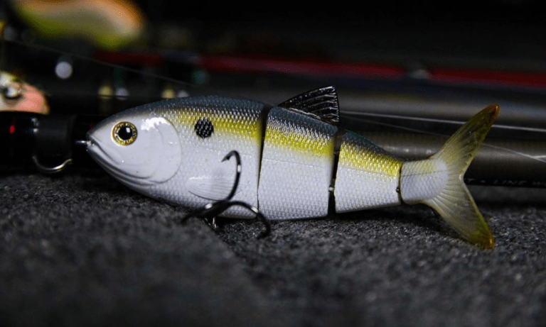 SPRO BBZ Swimbaits Produce Big Bass | BassFIRST