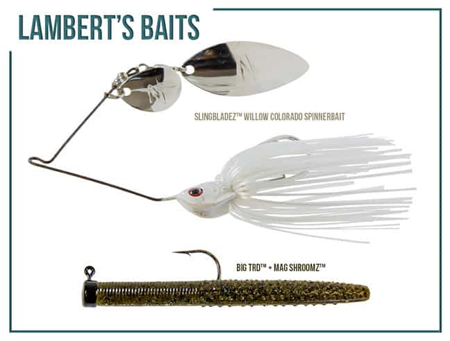 Z-MAN: The Baits of Champions | BassFIRST