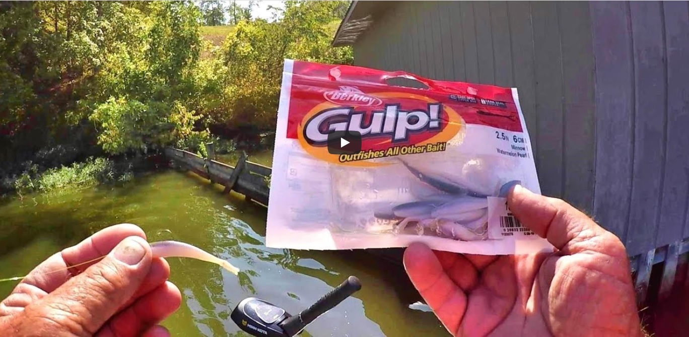 Summer Crappie Fishing Tips - Berkley Gulp Minnow | CrappieFIRST