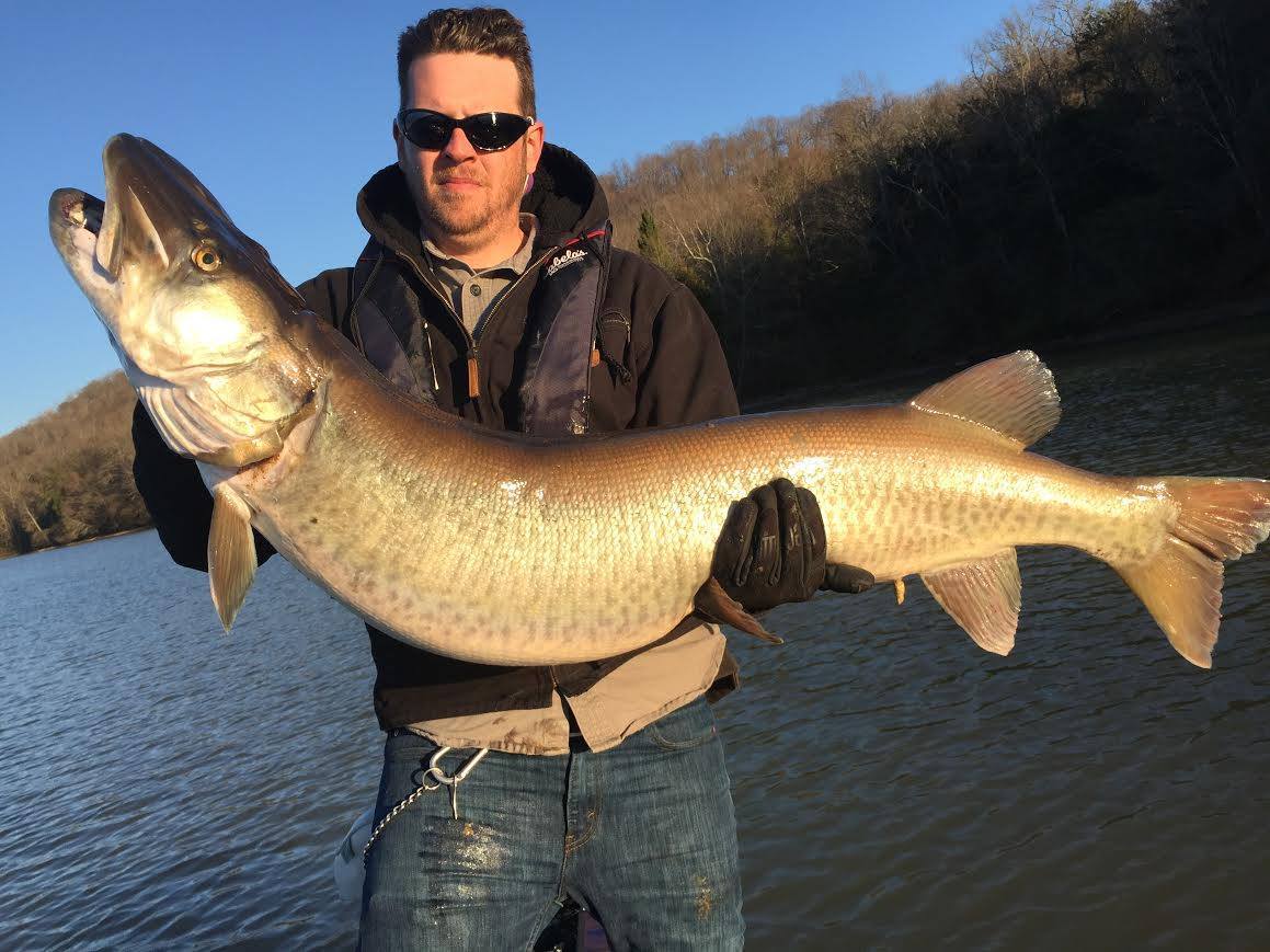 Untitled | MuskieFIRST