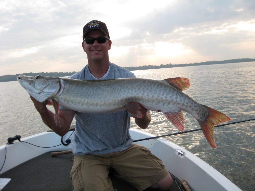 Big muskie caught on Lake X in Minnesota, MN on 6/18/2010 | MuskieFIRST