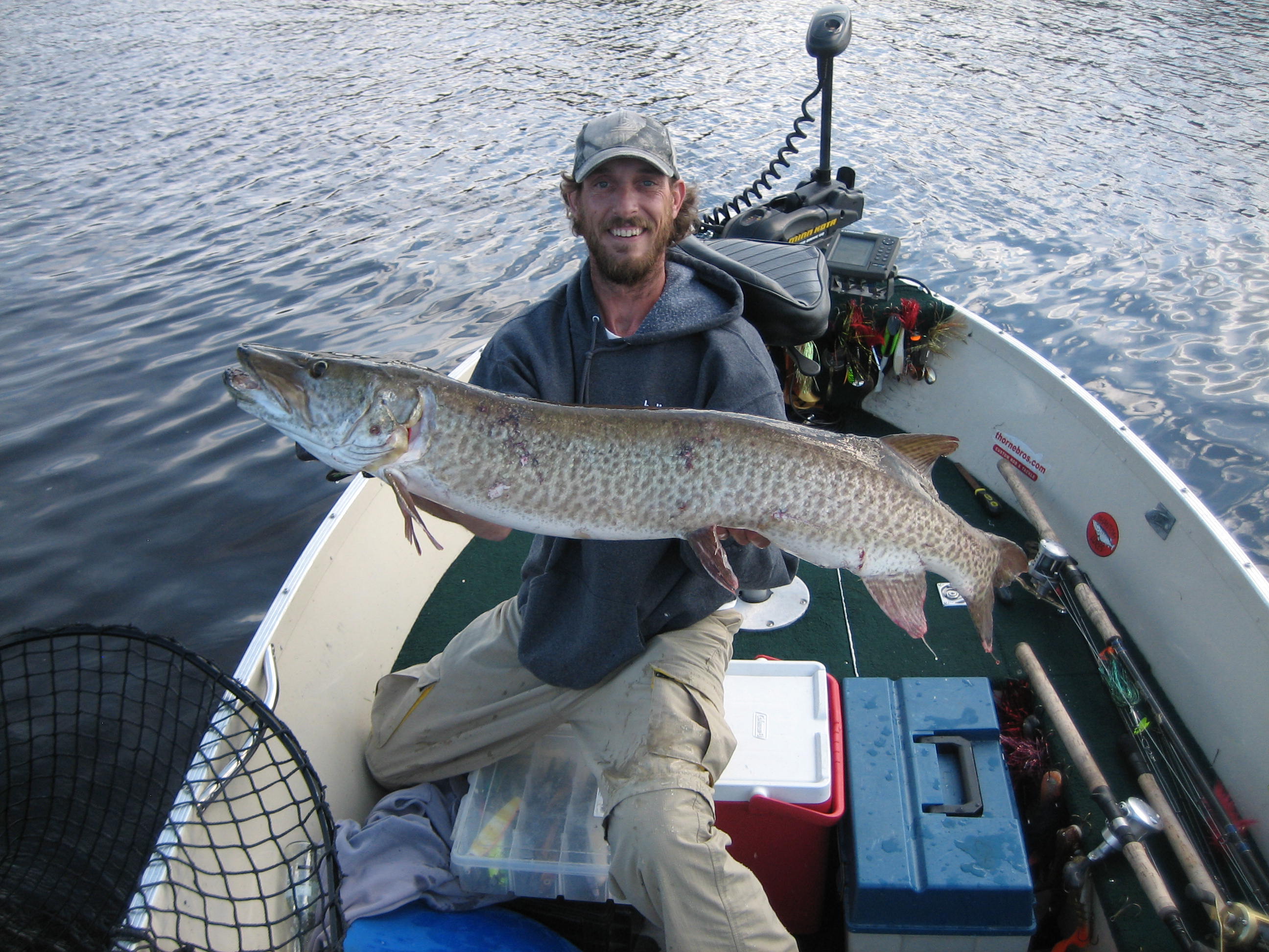 Big muskie caught on Lake Michigan - Green Bay in green bay, WI on 6/6 ...
