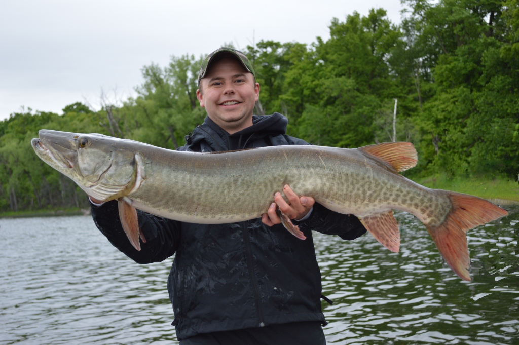 Big muskie caught on Lake X in City X, MN on 6/7/2014 | MuskieFIRST