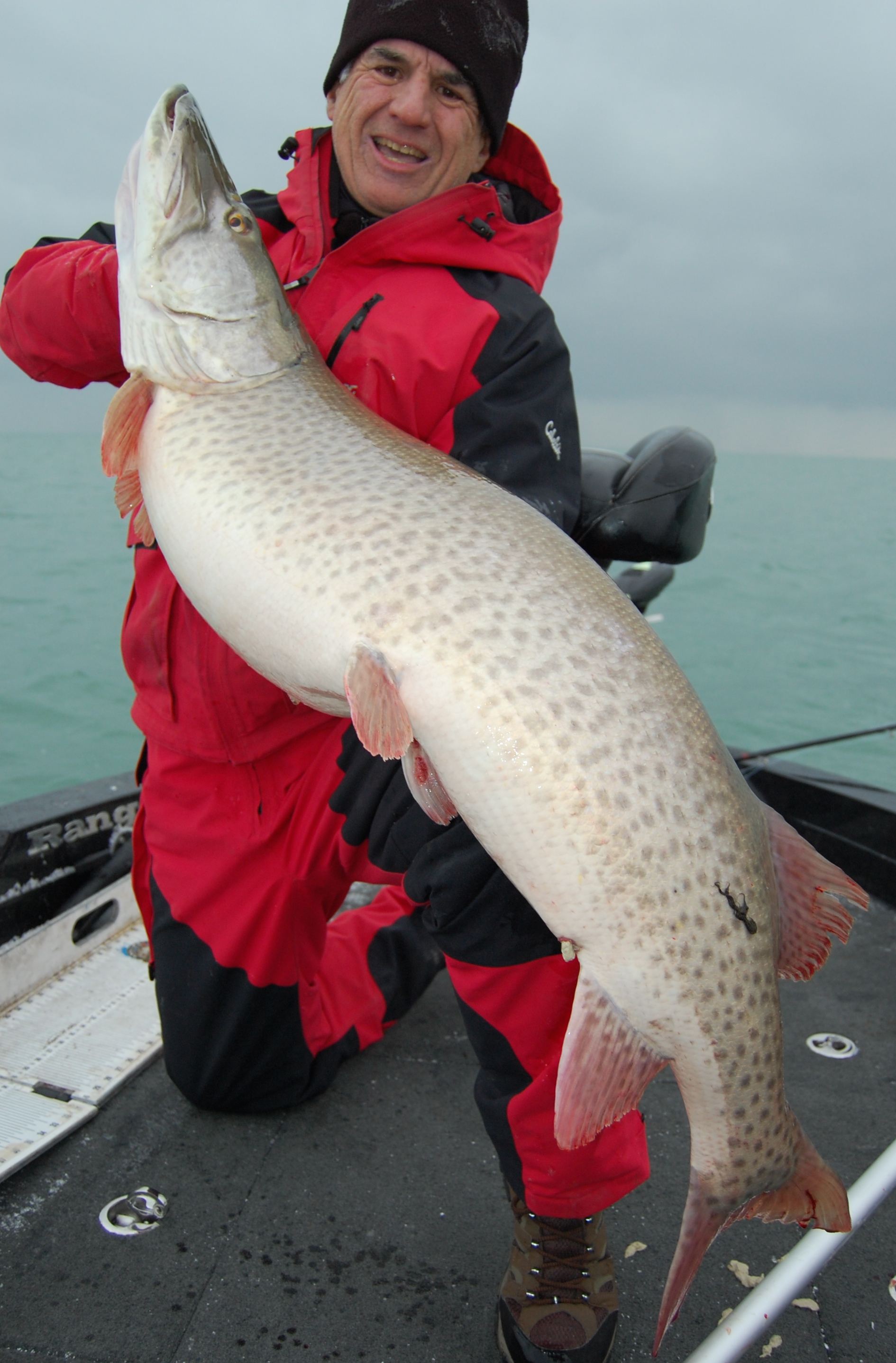 Big muskie caught on Lake St Clair in Detroit, MI on 11/13/2014 ...