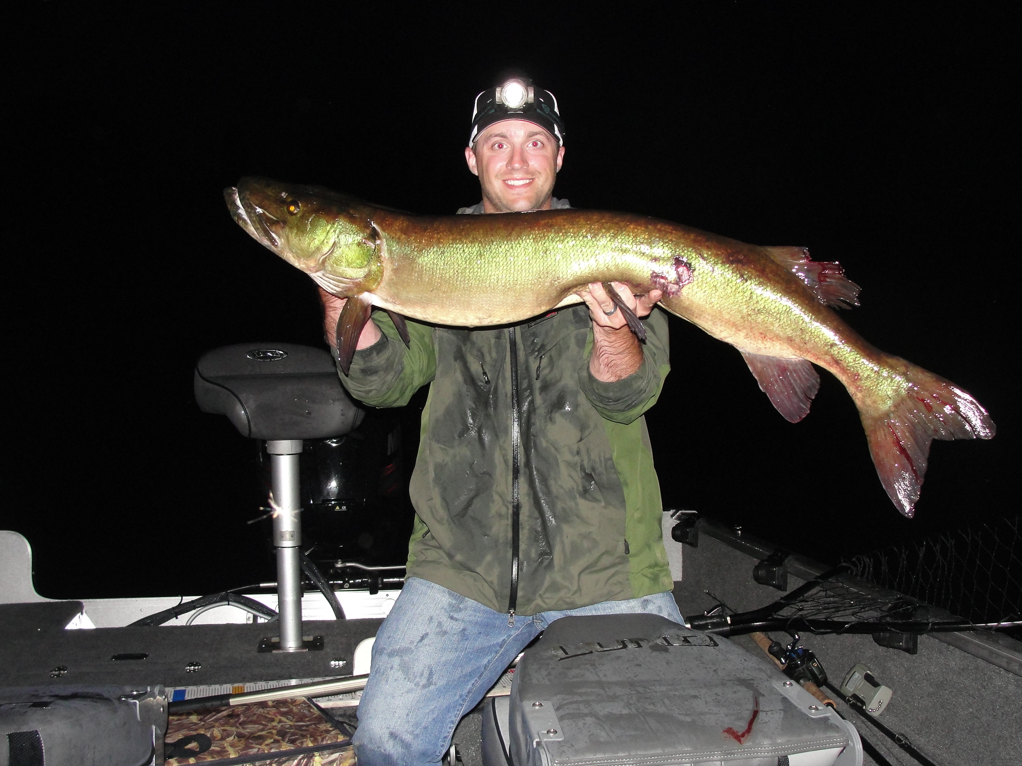 Big muskie caught on Wisconsin River in X, WI on 6/25/2015 | MuskieFIRST