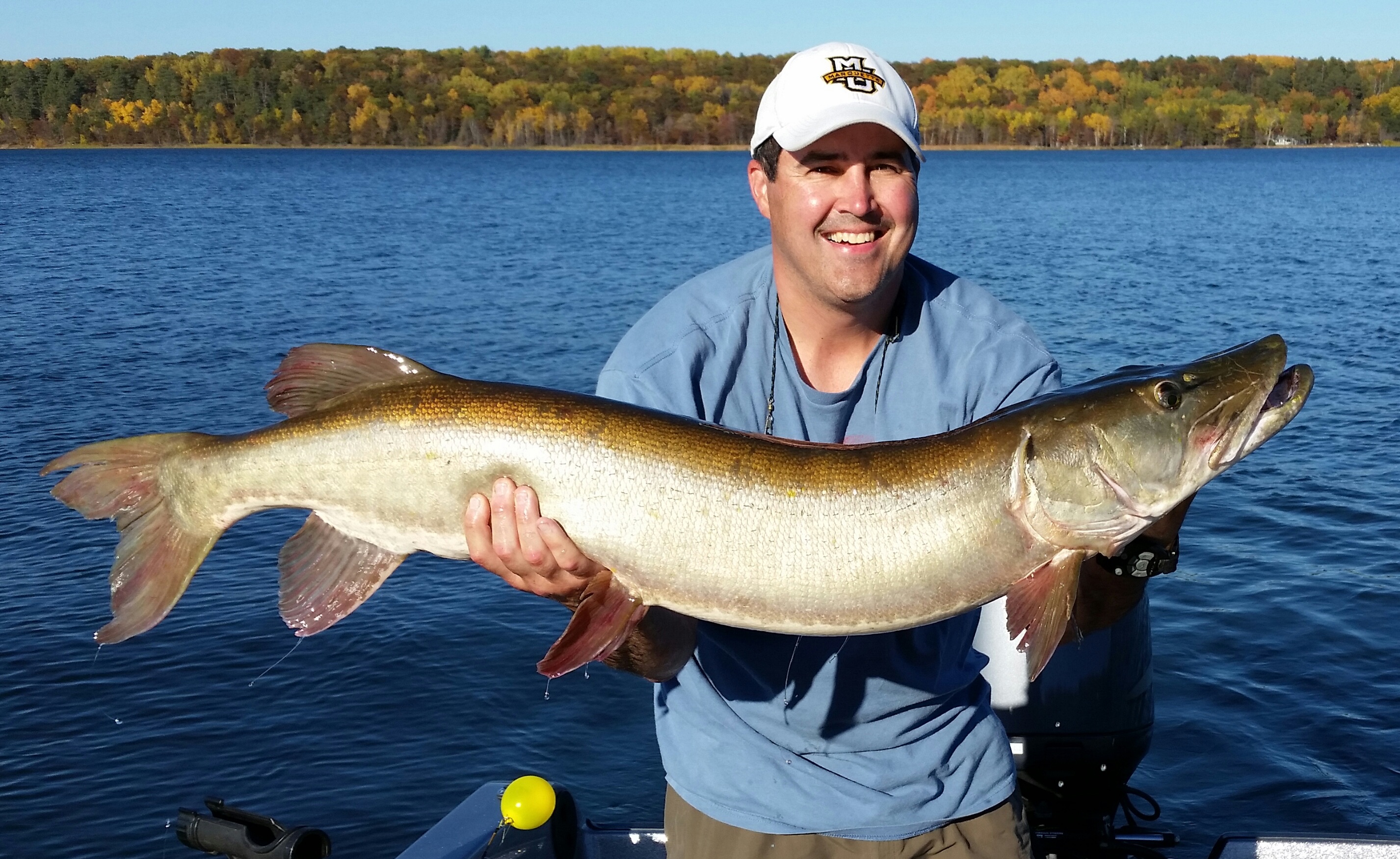 Big muskie caught on Round in Randall, MN on 10/12/2015 | MuskieFIRST