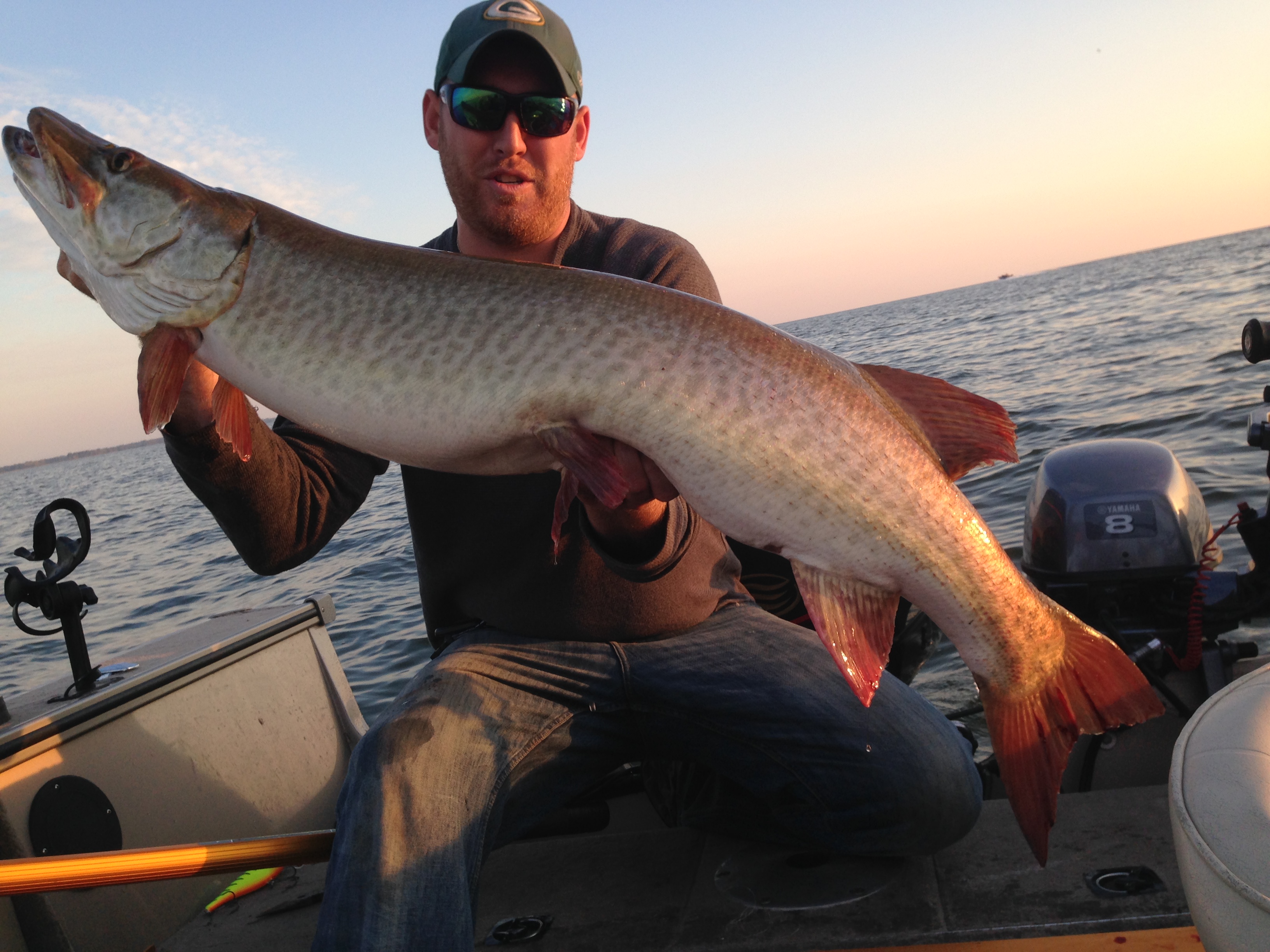 Big muskie caught on Lake X in City x, WI on 9/19/2015 | MuskieFIRST