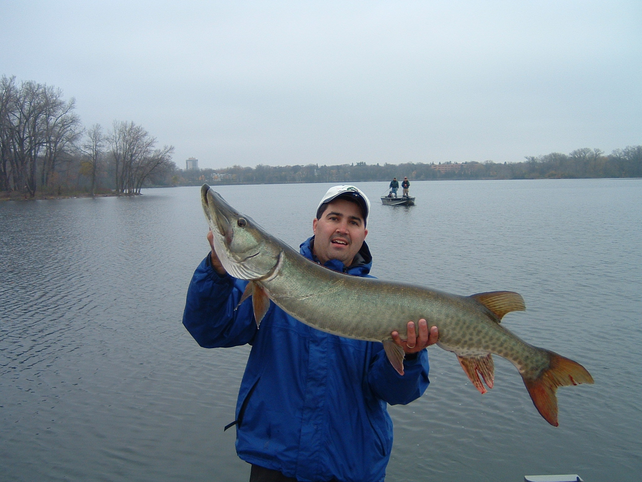 Big muskie caught on Chain of lakes in Minneapolis, MN on 11/6/2005 ...