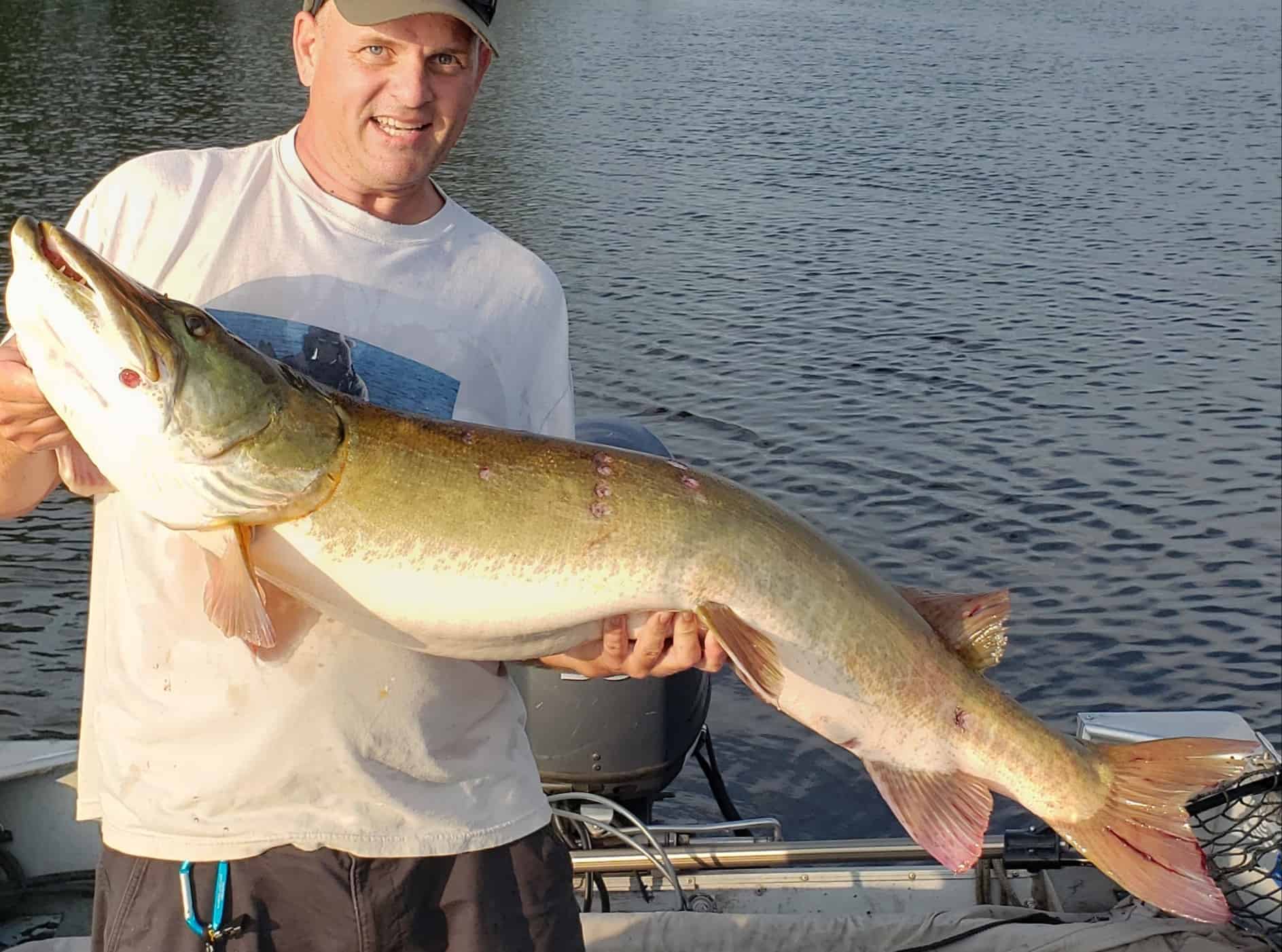 51 inch muskie on River X in Ottawa Ontario on 08/10/2020 | MuskieFIRST