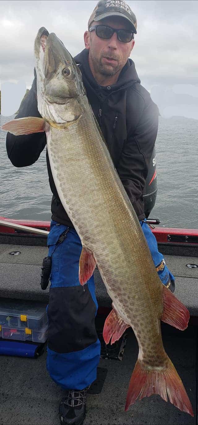 50 inch muskie on lake x in city x Wisconsin on 09/16/2020 | MuskieFIRST