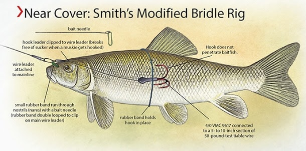 Best Livebait Rig? –Unique New Crank Colors – Huge Ice Musky | MuskieFIRST