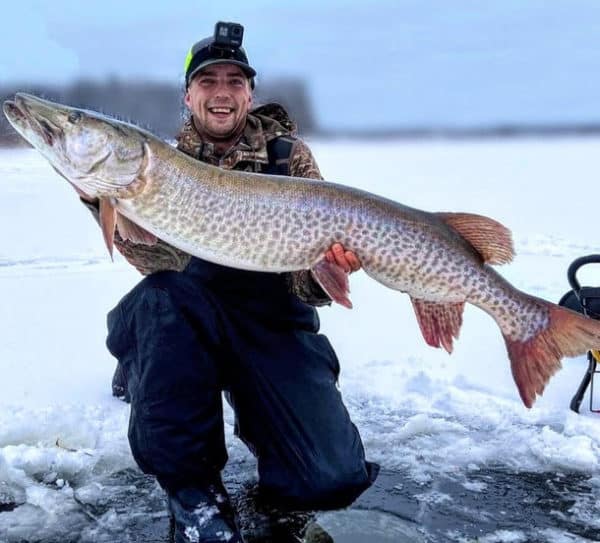 Best Livebait Rig? –Unique New Crank Colors – Huge Ice Musky | MuskieFIRST
