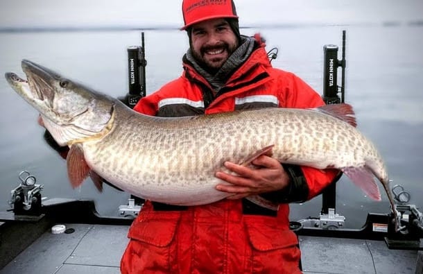 Best Livebait Rig? –Unique New Crank Colors – Huge Ice Musky | MuskieFIRST