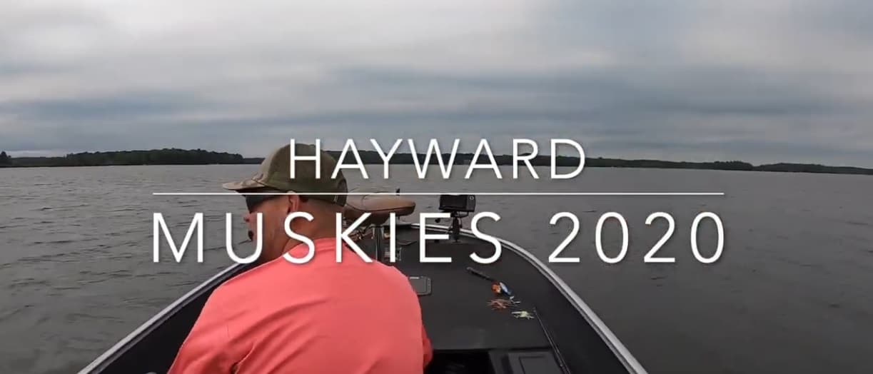 HAYWARD Wisconsin Muskies 2020 (Hayward muskie fishing) | MuskieFIRST