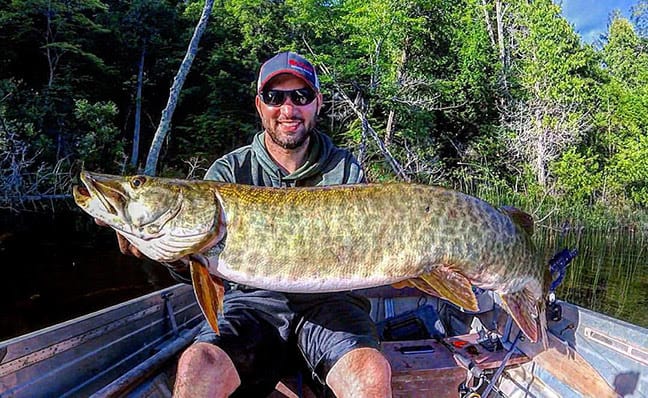 DAIWA: All-In on the Alpha Fish | MuskieFIRST