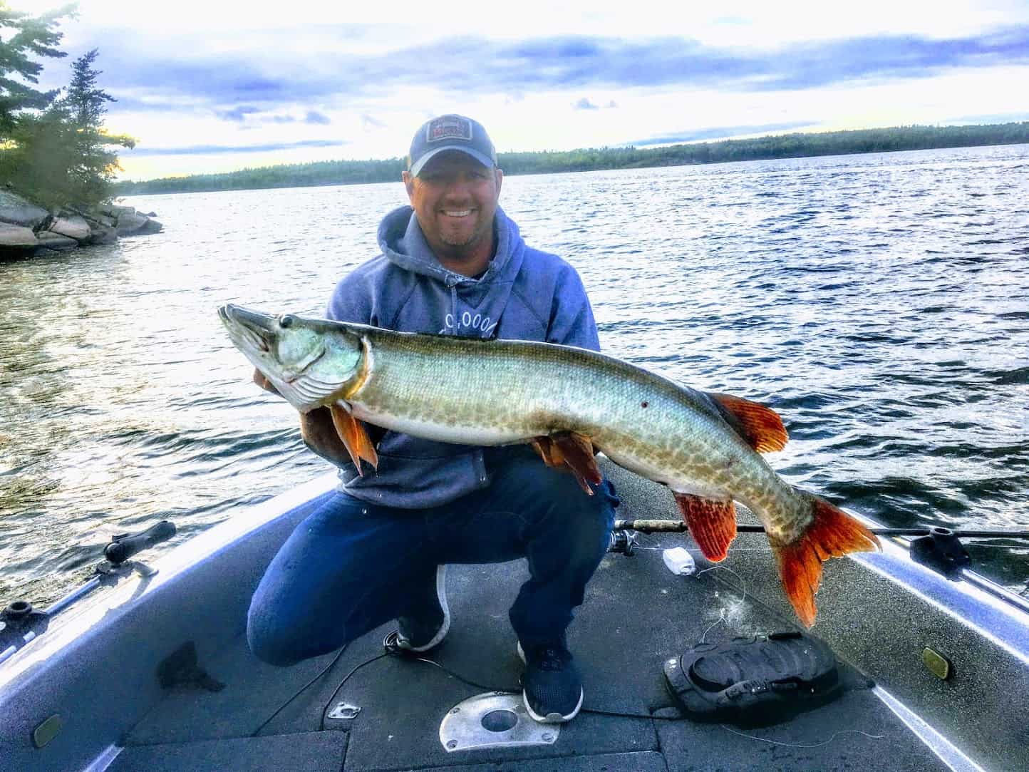 48 inch muskie on LOTW in Roseau Ontario on 09/05/2021 | MuskieFIRST