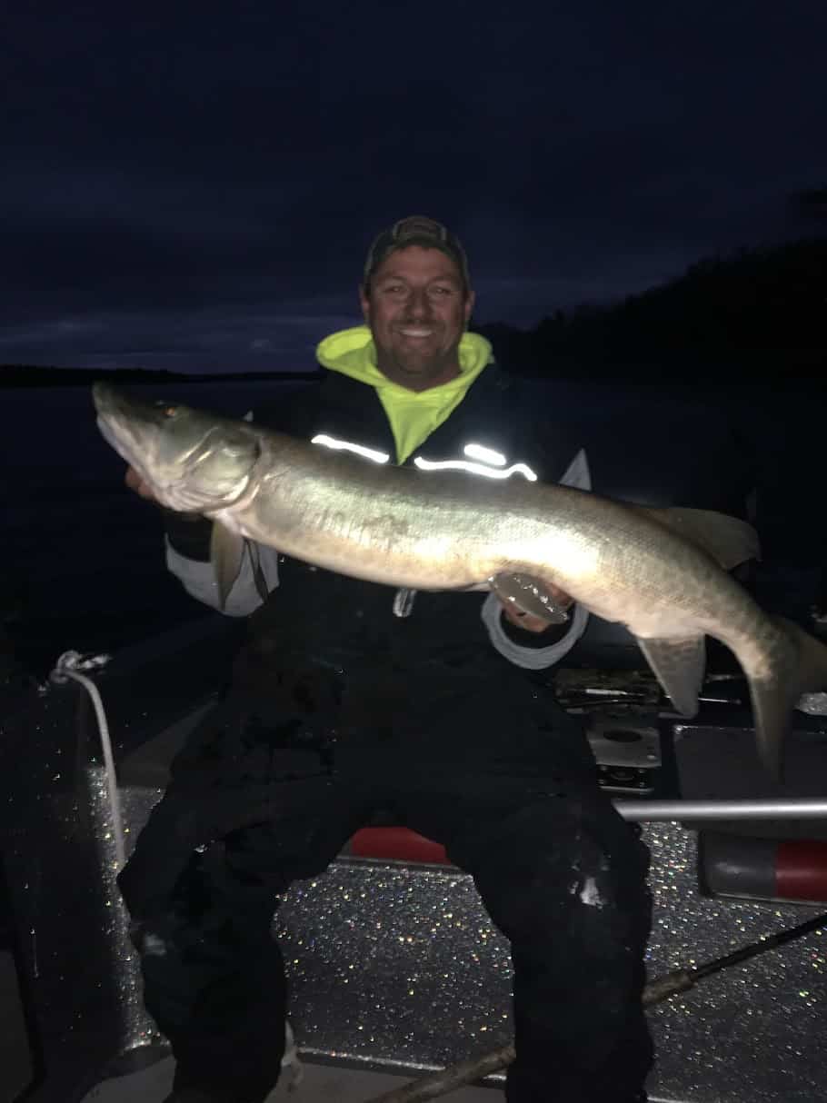 45 inch muskie on LOTW in Roseau Ontario on 10/22/2021 | MuskieFIRST