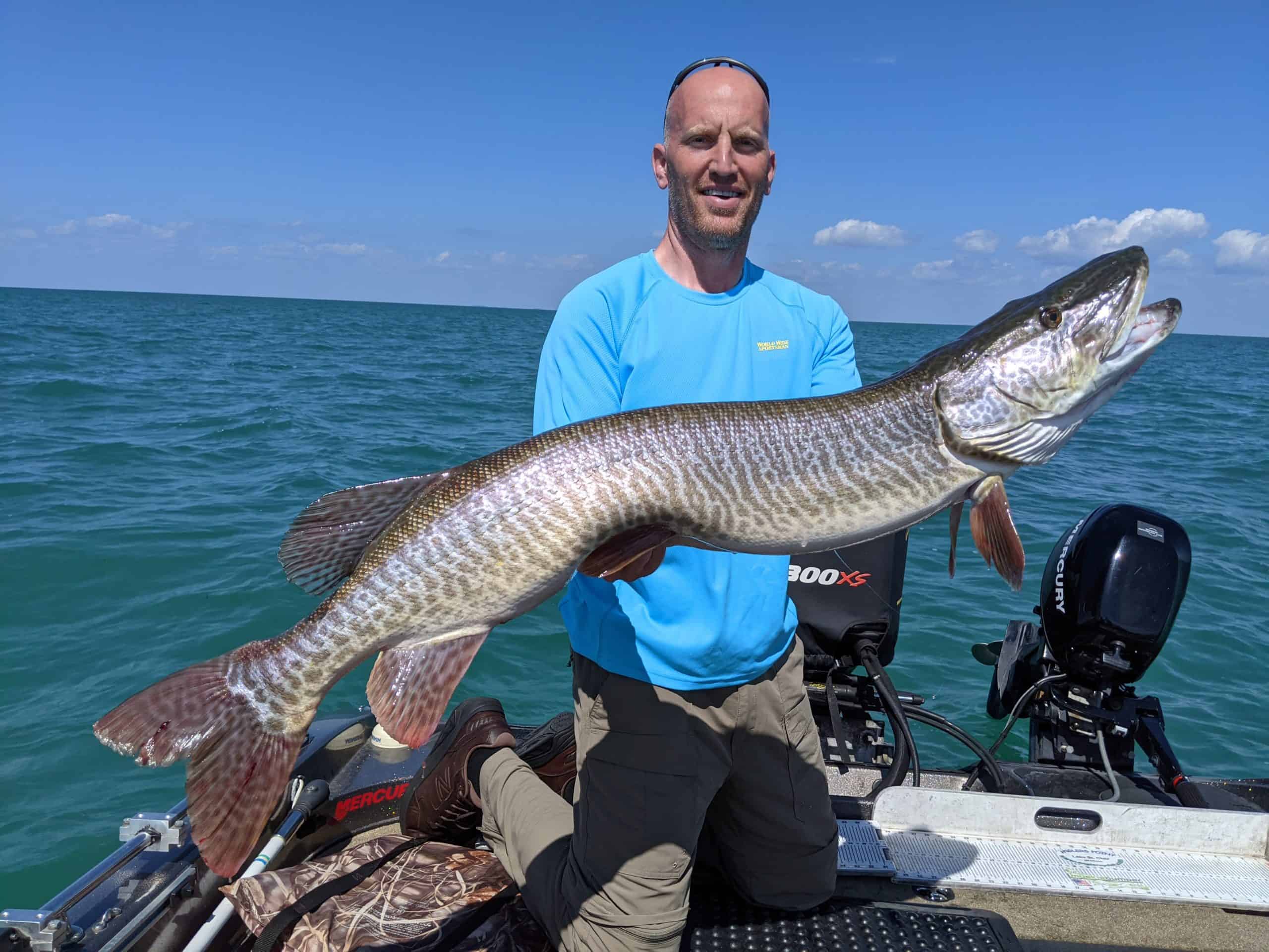 48 inch muskie on St. Clair in St. Clair Shores Michigan on 08/30/2021 ...