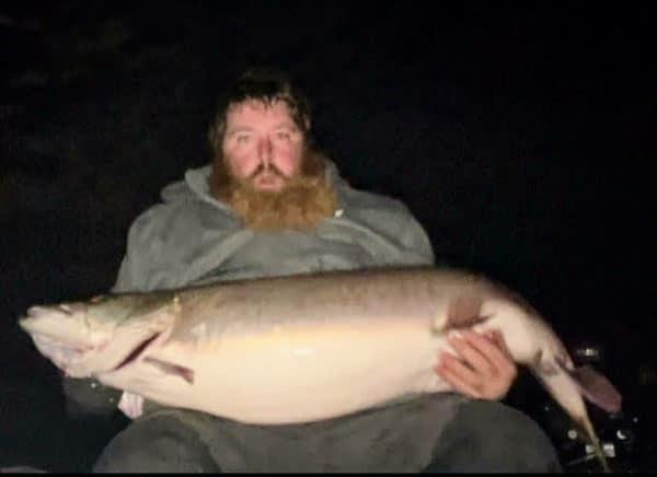 NEW Musky Diet Study – Does Livescope Impact Fish? – Fresh Show Colors ...