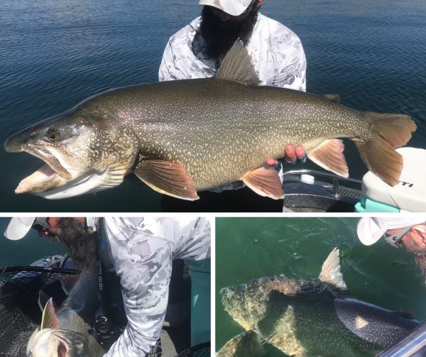 Record-setting trout caught at Utah’s Flaming Gorge Reservoir | SalmonFIRST