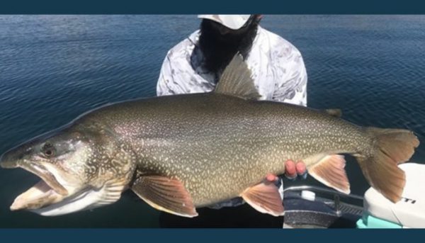 Record-setting trout caught at Utah’s Flaming Gorge Reservoir | SalmonFIRST