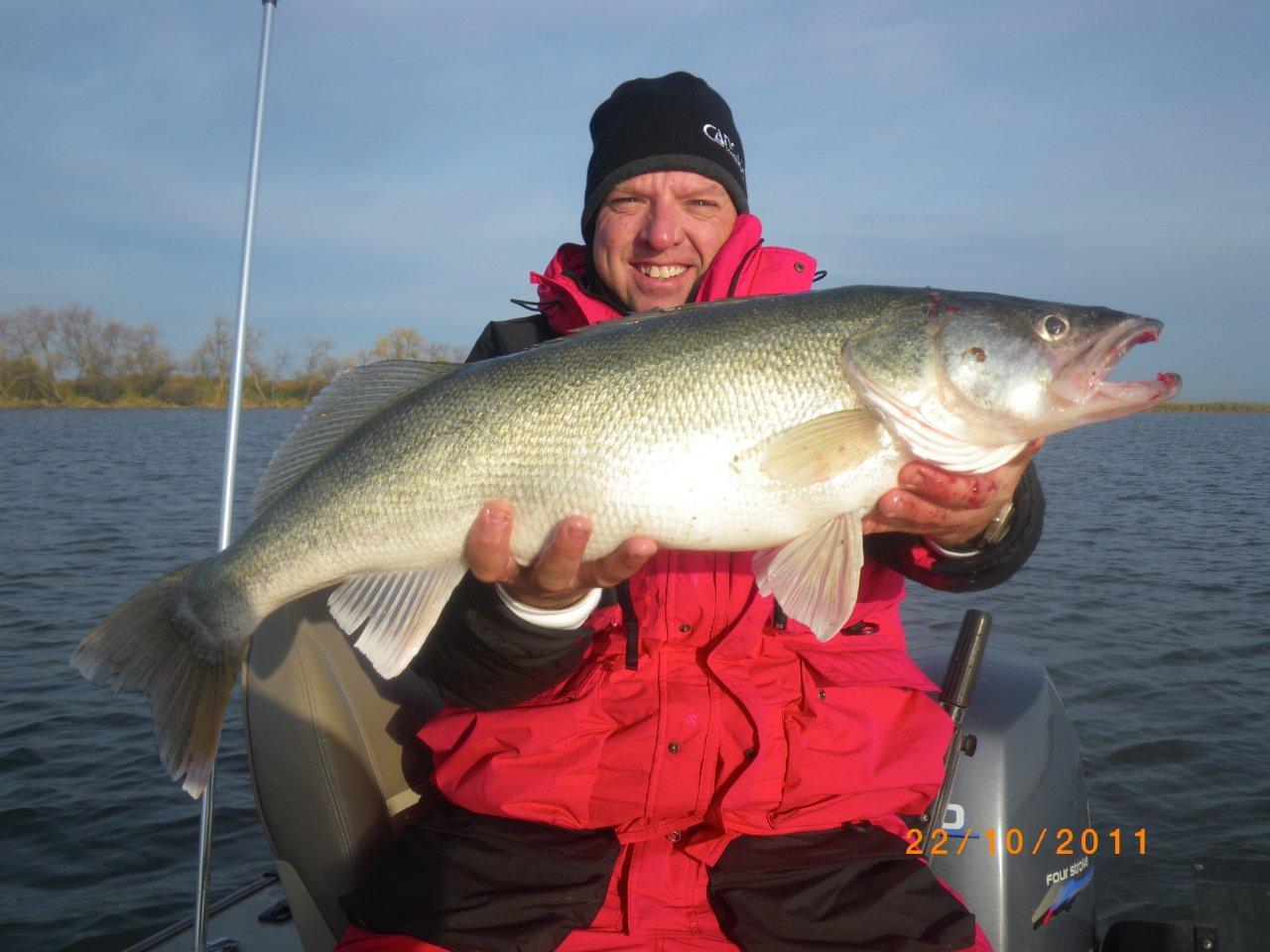 Big Walleye caught on Red River in Winnipeg, MB on 10/22/2011 ...