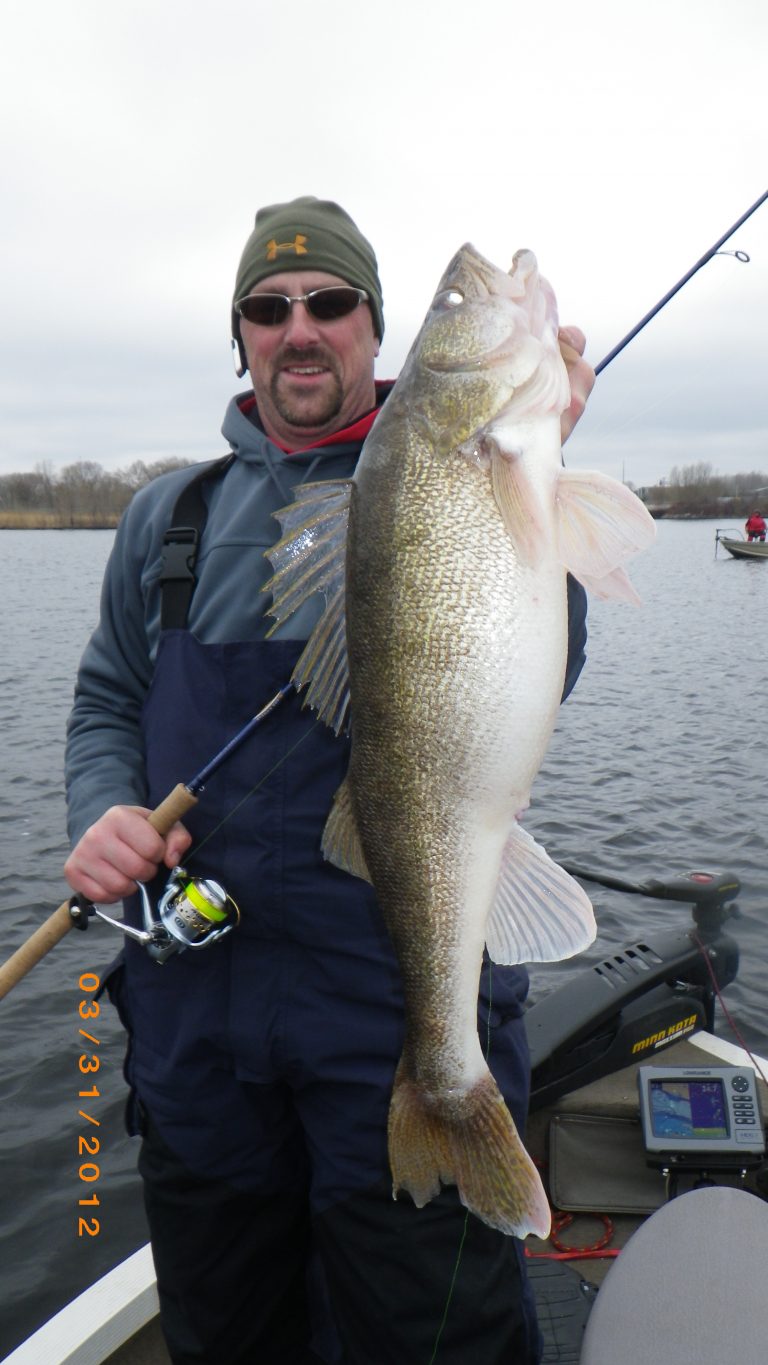Big Walleye caught on Menominee River in Marinette, WI on 3/31/2012 ...