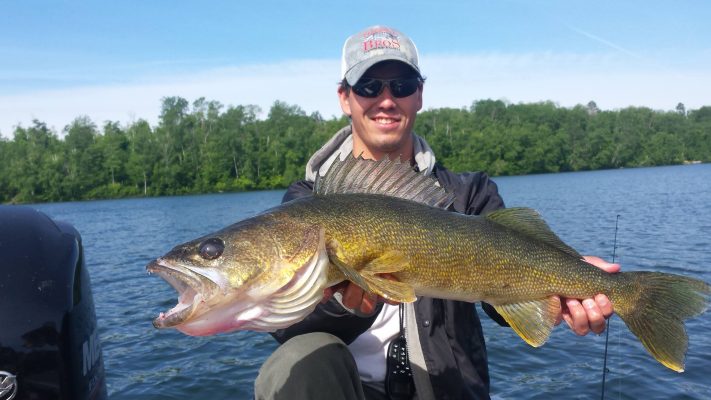 Big Walleye caught on Lake X in Grand Rapids, MN on 7/11/2014 ...