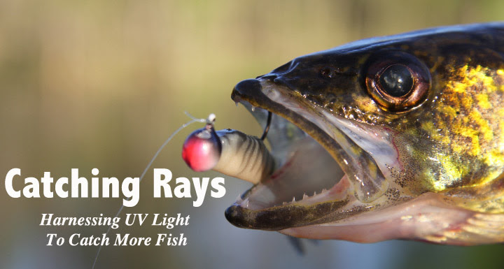 Catching Rays Harnessing UV Light To Catch More Fish | WalleyeFIRST
