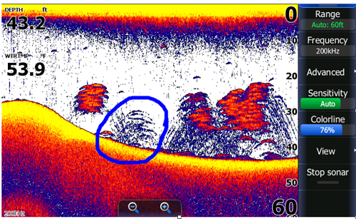 2015 Doctor Sonar GPS/Sonar School | WalleyeFIRST