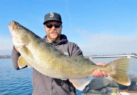 Three monster walleyes!!! | WalleyeFIRST
