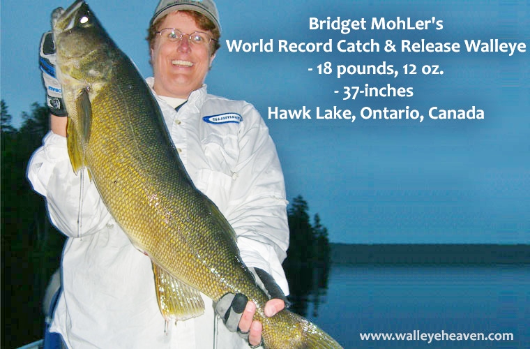 Three monster walleyes!!! | WalleyeFIRST