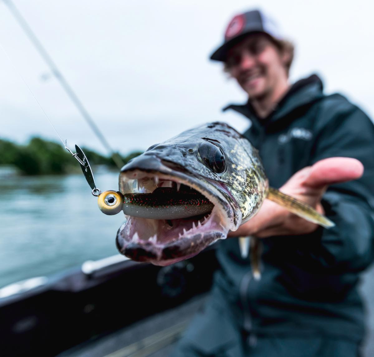 Sonar Sight-Fishing Walleyes | WalleyeFIRST