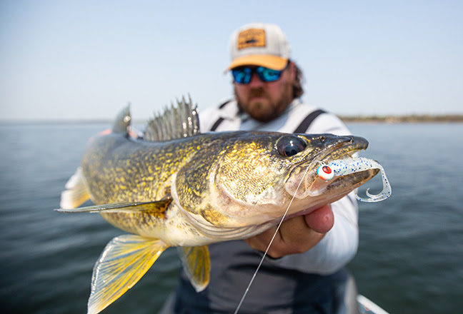 FISHING: Breakthrough Soft Plastics | WalleyeFIRST