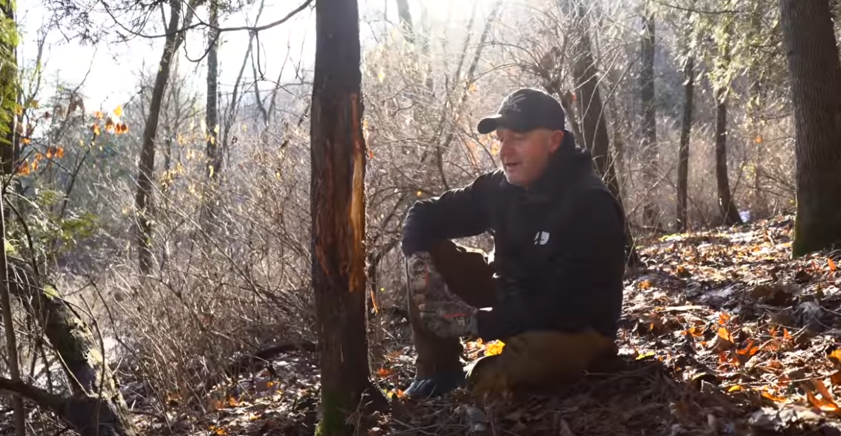 How To Read A Whitetail Buck Rub | WhitetailFIRST