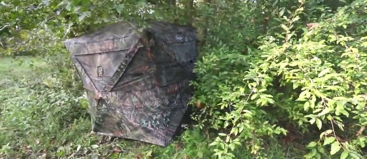 Pro Tips Guide to Setting Up a Deer Hunting Blind | WhitetailFIRST