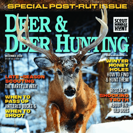 The Science Behind Buck Rubs - Deer and Deer Hunting | WhitetailFIRST