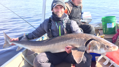 Potential State Record Sturgeon Caught & Released | OutdoorsFIRST