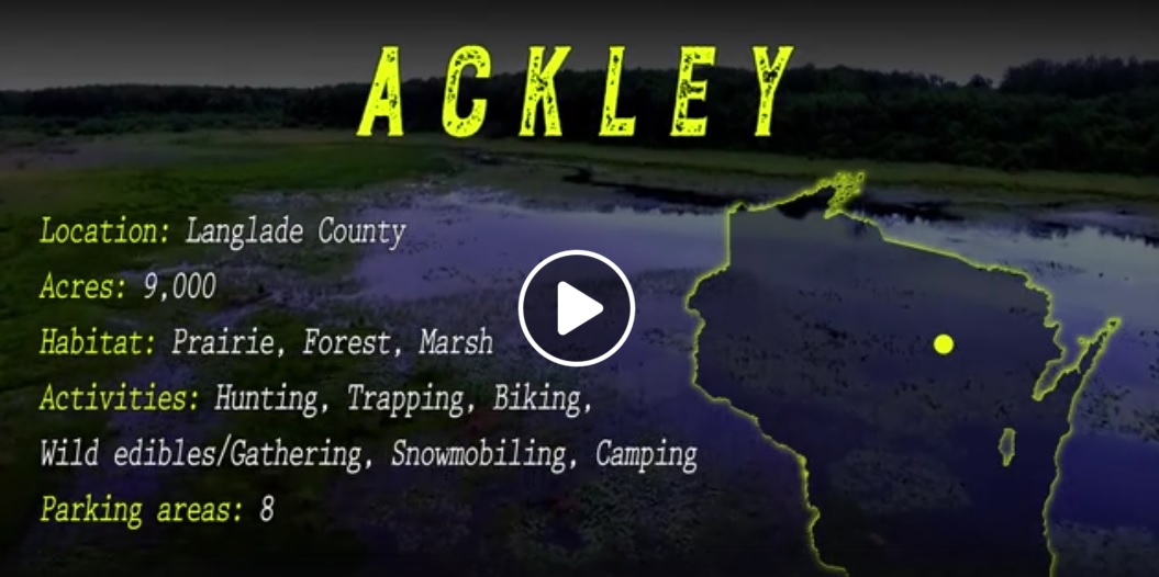 Check Out the Ackley Wildlife Area in Wisconsin | OutdoorsFIRST