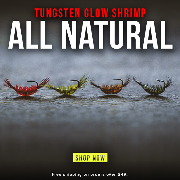 Natural Profile Tungsten Shrimp - 4 Colors to Hammer | OutdoorsFIRST