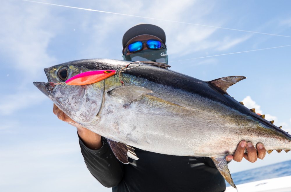 Sea Falcon® Premium Handmade Lures Now Available in the U.S ...