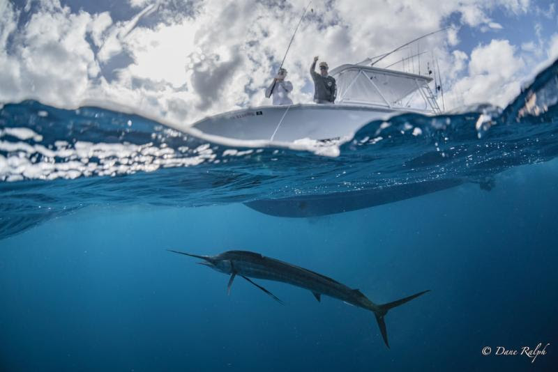 Tigress Outriggers & Gear ﻿to be Showcased at ICAST | OutdoorsFIRST