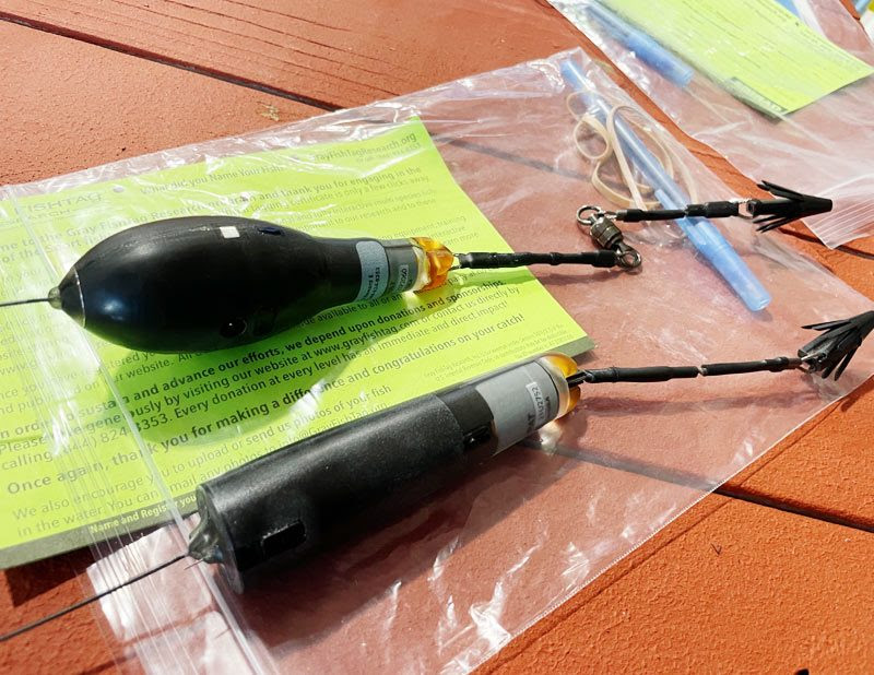 Helping The Striped Bass Fishery Through Satellite Tagging | OutdoorsFIRST