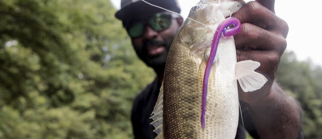 How to winterize your outboard, mooring balls, soft-plastic rigs and ...